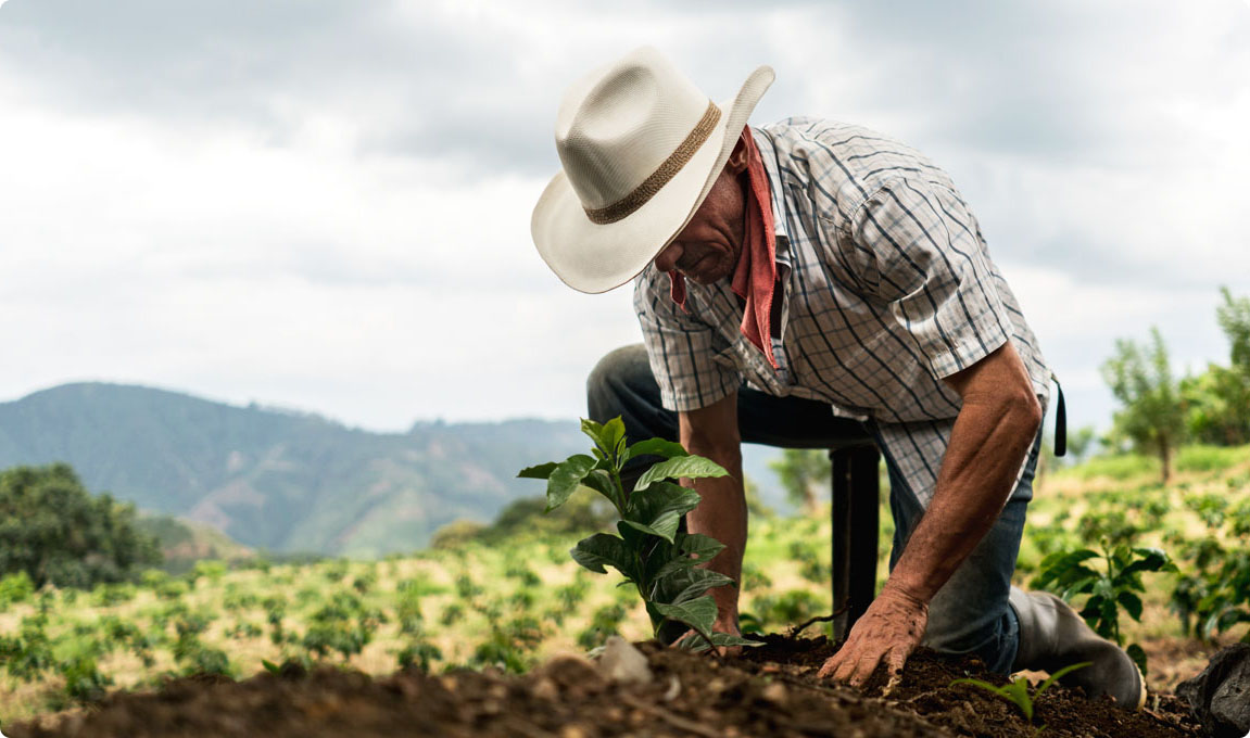 Avagro ..:: Empresa productora de agroquímicos en Santiago, República ...